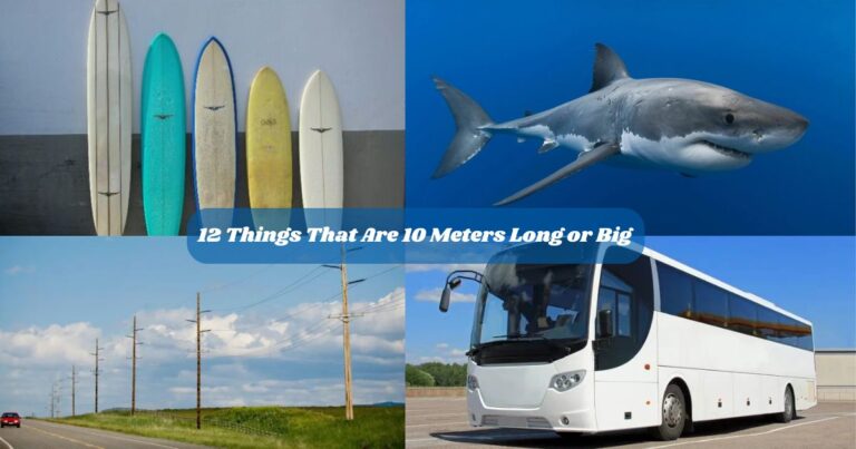 12 Things That Are 10 Meters Long or Big